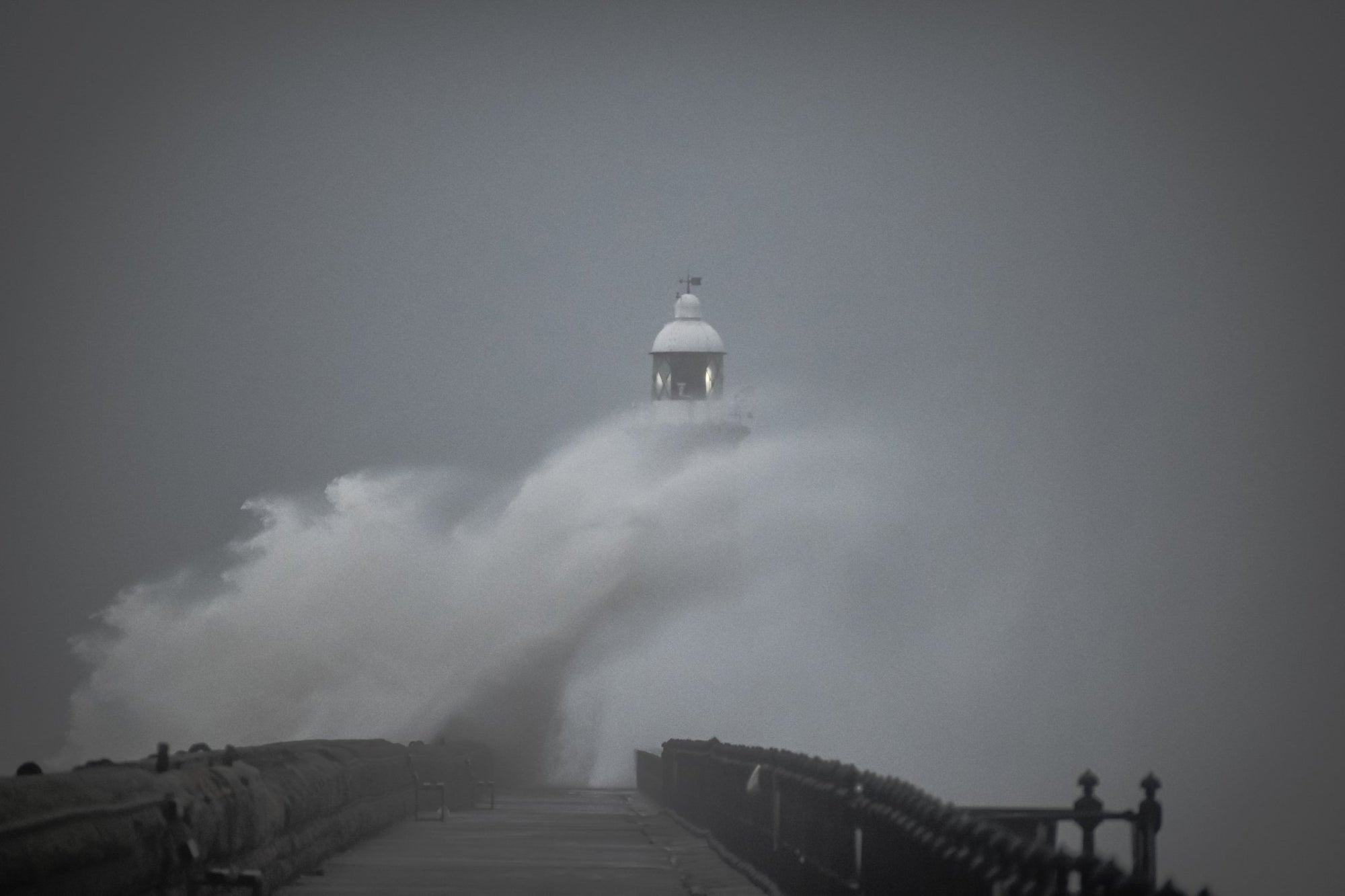 Shop – Dark Turtle Clothing